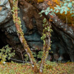 Split: Private tour to Klis Fortress and Vranjaa cave - Exploring the Tour in Detail