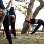 Split: Sunset Yoga Class with a Sea View - What the Yoga Session Entails