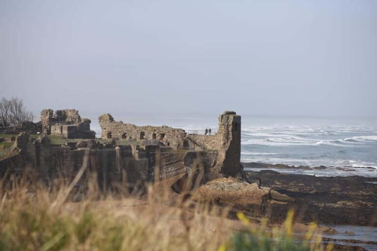 St Andrews: Private Tour with a Local Family - What You Can Expect