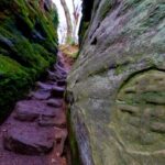 St Andrews, Villages and Coastal Charm: Private Land Rover Tour - Who Is This Tour For?