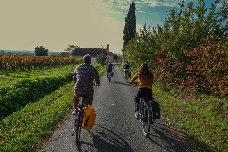 St. Emilion: Half Day E-Bike & Wine Tour with Wine & Cheese - Authentic Feedback from Participants