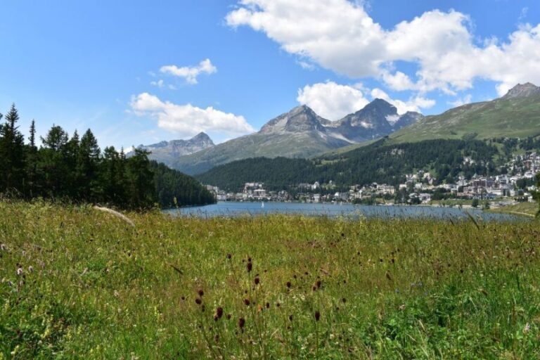 St. Moritz: Private Guided Town Highlights Walking Tour - Final Thoughts: Who Will Love This Tour?