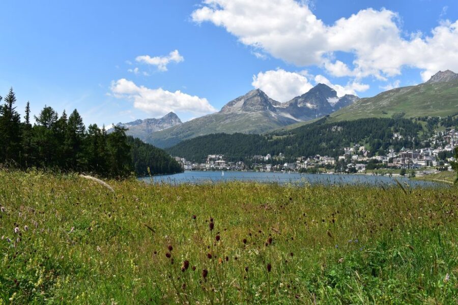 St. Moritz: Private Guided Town Highlights Walking Tour - Final Thoughts: Who Will Love This Tour?
