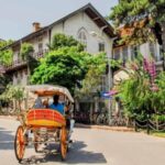 stanbul: Prince Island Full Day Tour - What Makes This Tour Stand Out?
