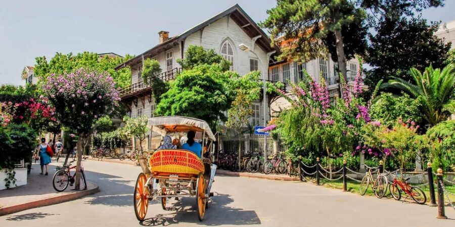 stanbul: Prince Island Full Day Tour - What Makes This Tour Stand Out?