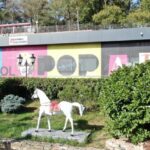 stanbul Tulip Museum - Why Visit the Istanbul Tulip Museum?