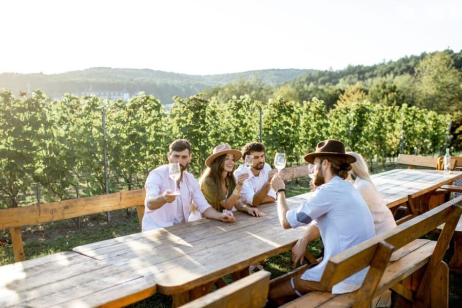 Stancija Collis: A Winery adventure in Rovinj - The Itinerary — What to Expect