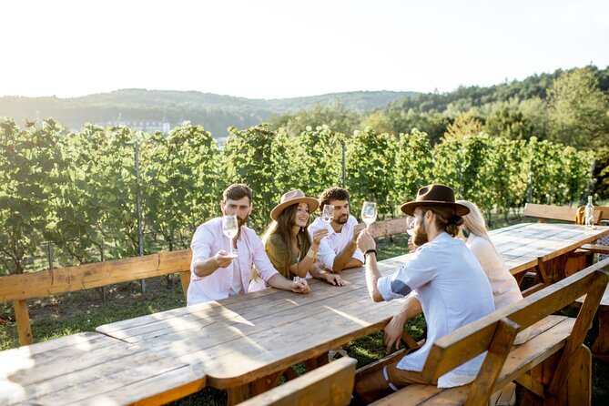 Stancija Collis: A Winery Adventure Tour in Rovinj - Key Points