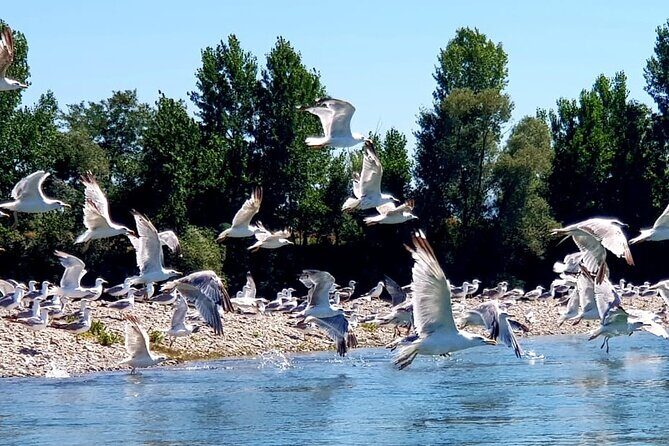 Stand Up Paddle at Skadar lake and Hiking from Valbona to Theth in 4 Days - What Do Reviews Say?