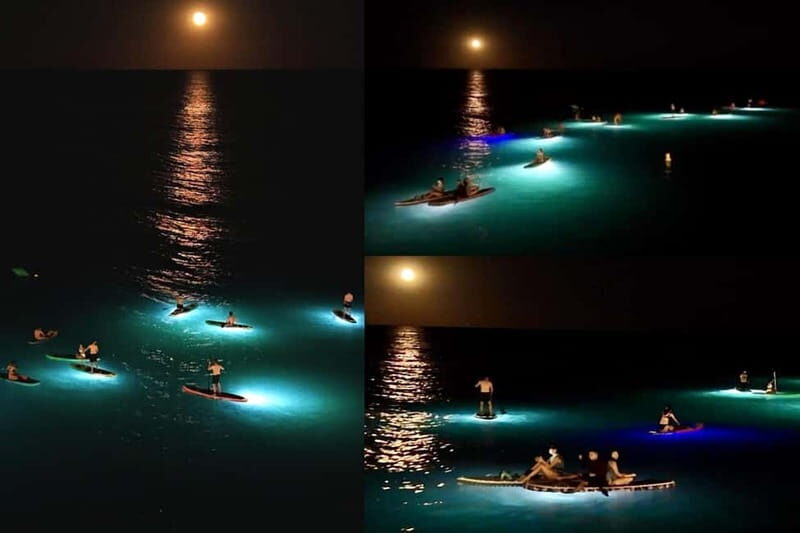 Stand Up Paddle with professional lights in Barcelona - What to Expect During Your Night Paddle