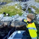 Stavanger: Guided Lysefjord Cruise to Pulpit Rock - The Scenic Route Into Lysefjord