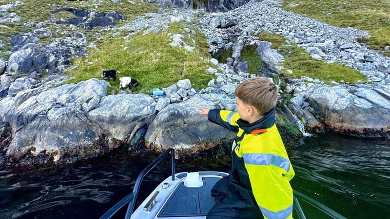 Stavanger: Guided Lysefjord Cruise to Pulpit Rock - The Scenic Route Into Lysefjord