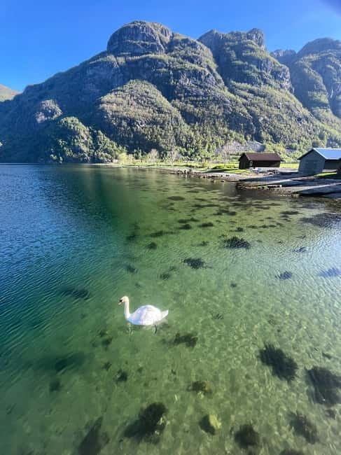 Stavanger: Månafossen Waterfall and Via Ferrata Bouldering - What to Expect and Practical Tips