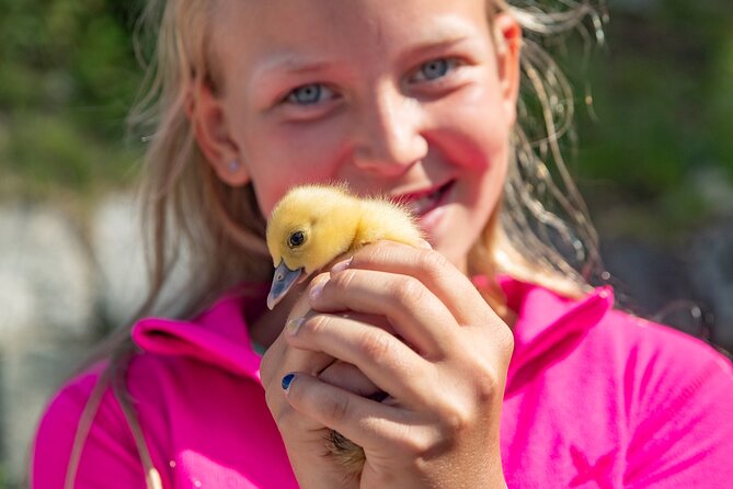 Steim Farm Experience in Vik, Norway - Exploring the Steim Farm Experience in Vik, Norway