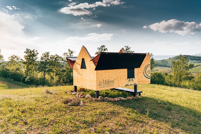 Stellar PicNic: Delight at sunset in the Tuscan countryside - Stellar PicNic: Delight at Sunset in the Tuscan Countryside