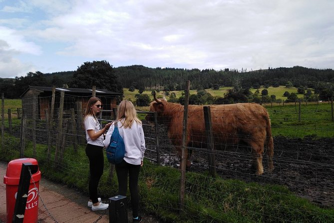 Stirling Castle, Hairy Coo's & The Trossachs - Key Points