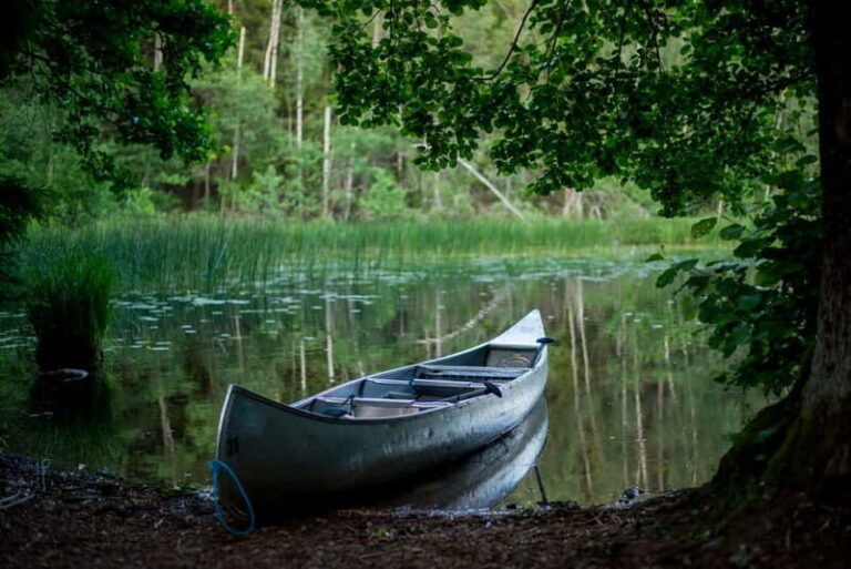Stockholm: Canoe and Kayak Rental in Sörmland - What to Expect and How It Works