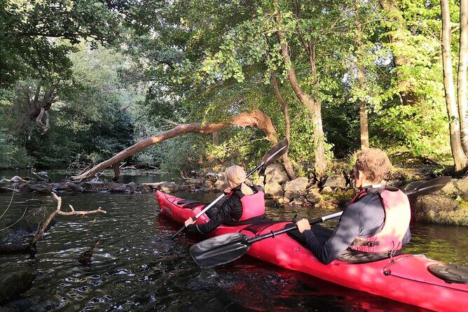 Stockholm Evening Kayak with BBQ - Small Group - The Final Stop: Hornstull & Langholmen Beach