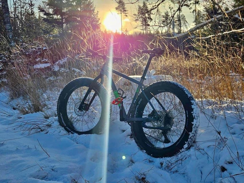 Stockholm: Fat Bike Forest Adventure with Lunch and Sauna - The Value Proposition