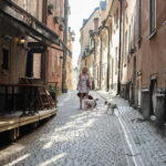 Stockholm: Old Town & Vasa Museum Skip-the-Line Private Tour - Who Will Enjoy This Tour?