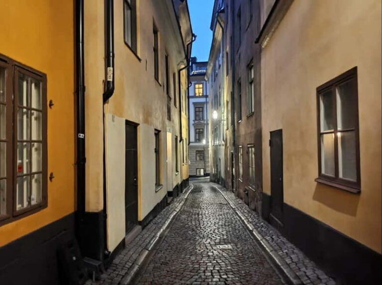Stockholm: private 3h tour - Old Town, ferry and Vasa museum - Exploring Stockholm in Just Three Hours
