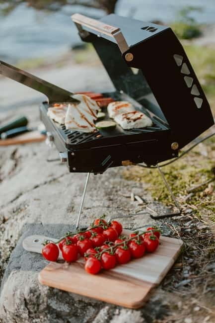 Stockholm: Sunset Canoe Beaver Safari & BBQ on Island - What to Expect on the Itinerary