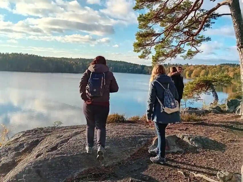 Stockholm: Sunset Hike in Tyresta National Park with Meal - Key Points