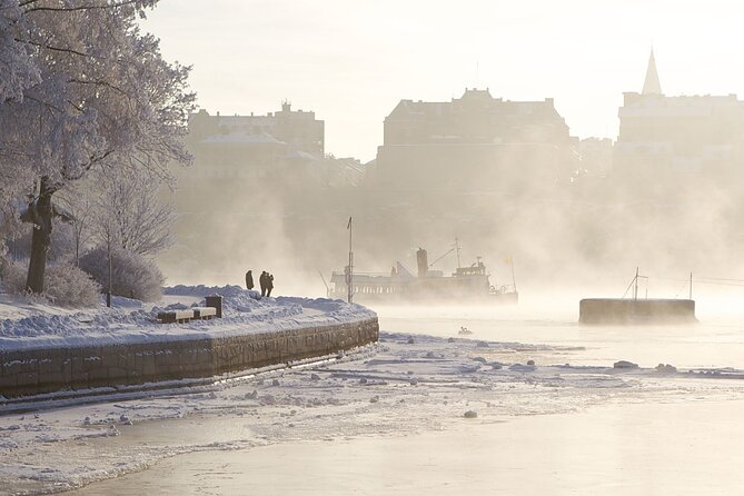 Stockholm Winter Boat Tour with Guide - Key Points