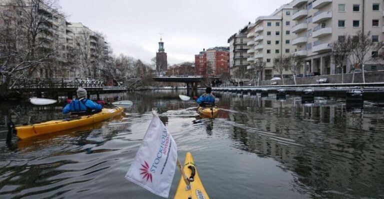 Stockholm: Winter City Kayaking Tour - A Detailed Breakdown of the Tour