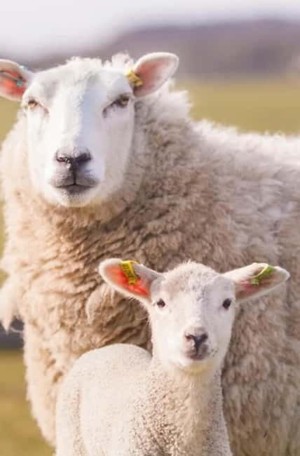 Stonehenge, Bath, Windsor, Cotswolds Villages - Who Will Love This Tour?