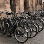 Strasbourg: Bike rental for 1 day - Why Choose a 1-Day Bike Rental in Strasbourg?