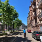 Strasbourg: Bike Tour with a Guide bikes included - Practical Details: What You Need to Know Before Booking