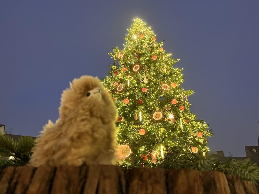 Strasbourg: Christmas Walking Tour with Mulled Wine - The Practicalities: What You Need to Know