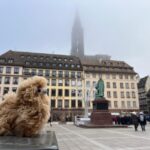 Strasbourg: Colmar, Villages & Castle Private Day Trip - What to Expect on the Tour