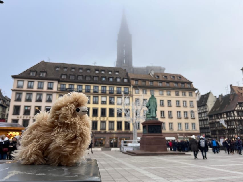 Strasbourg: Colmar, Villages & Castle Private Day Trip - What to Expect on the Tour