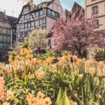 Strasbourg: Gastronomic and Walking Tour in the Old Town - Who Will Enjoy This Tour?