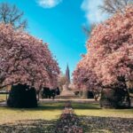 Strasbourg: Guided Historical Neighborhoods Walking Tour - Why This Tour Stands Out