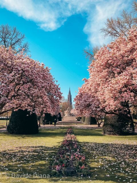 Strasbourg: Guided Historical Neighborhoods Walking Tour - Why This Tour Stands Out