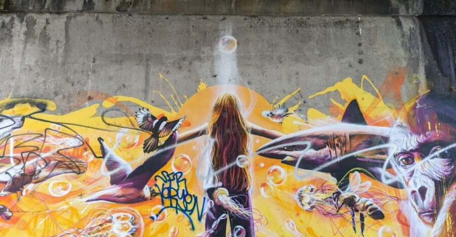 Strasbourg : Street-Art Tour - What Makes This Tour Stand Out?