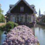 Strasbourg: Walking Tour with Local Guide - What Makes This Tour Special?