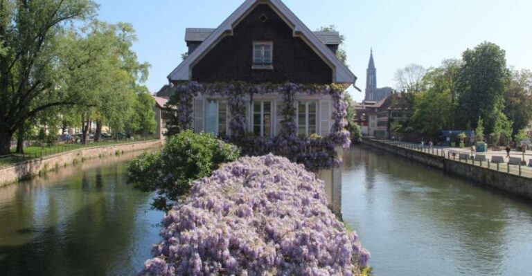 Strasbourg: Walking Tour with Local Guide - What Makes This Tour Special?