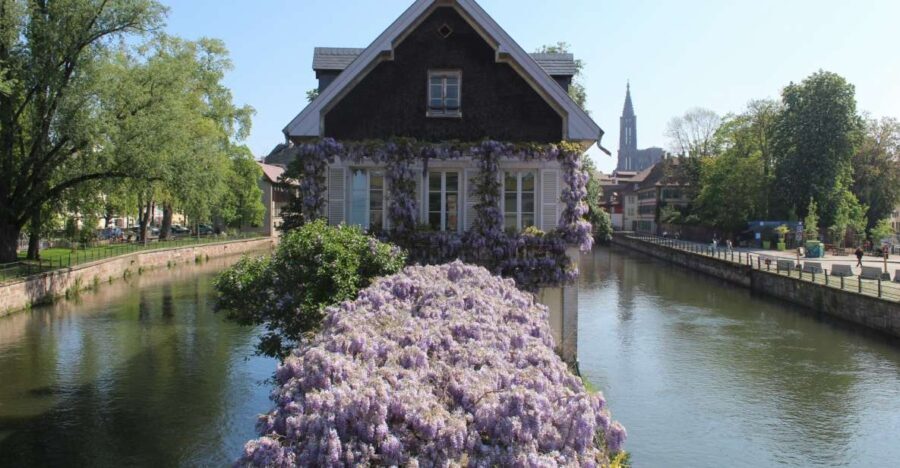 Strasbourg: Walking Tour with Local Guide - What Makes This Tour Special?