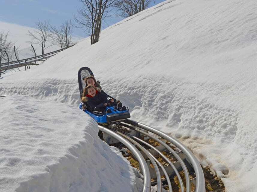 Stresa: Alpyland Alpine Coaster Ride on Mount Mottarone - Important Practical Details