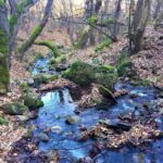 Strumica monasteries and waterfalls tour from Skopje - Final Thoughts: Who Will Love This Tour?