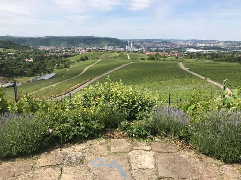 Stuttgart: E-bike wine tour including tasting - What the Tour Entails: A Detailed Breakdown