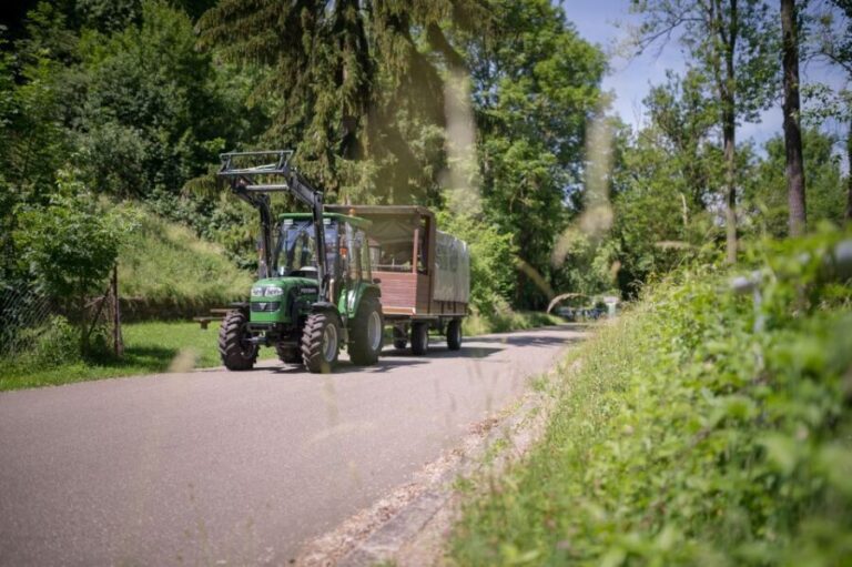 Stuttgart: Vineyard Tour by Covered Wagon - What to Expect on This Tour