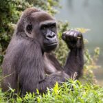 Stuttgart: Wilhelma Zoological-Botanical Garden Ticket - Historic Architecture and Themed Habitats