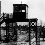 Stutthof Concentration Camp Half-Day Private Tour - Why This Tour Offers Good Value