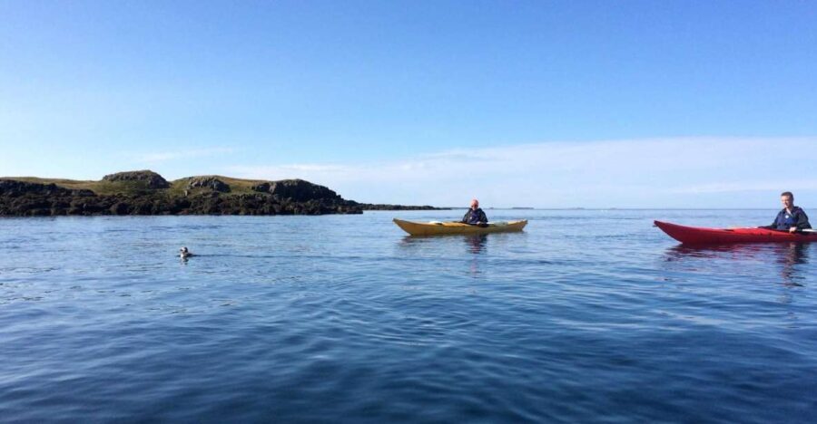 Stykkishólmur: 2-Hour Sea Kayak Tour - The Itinerary and What to Expect
