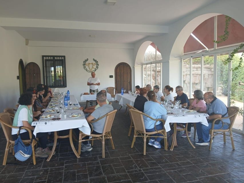 Subbética: cheese and wine pairing at Los Balanchares - Whats Included and Whats Not